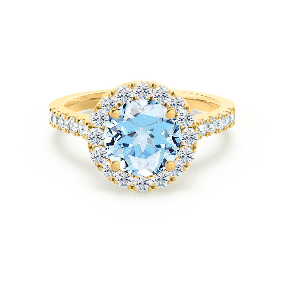 Cecily Chatham Lab Grown Aqua Spinel 18K Yellow Gold Round Halo ...